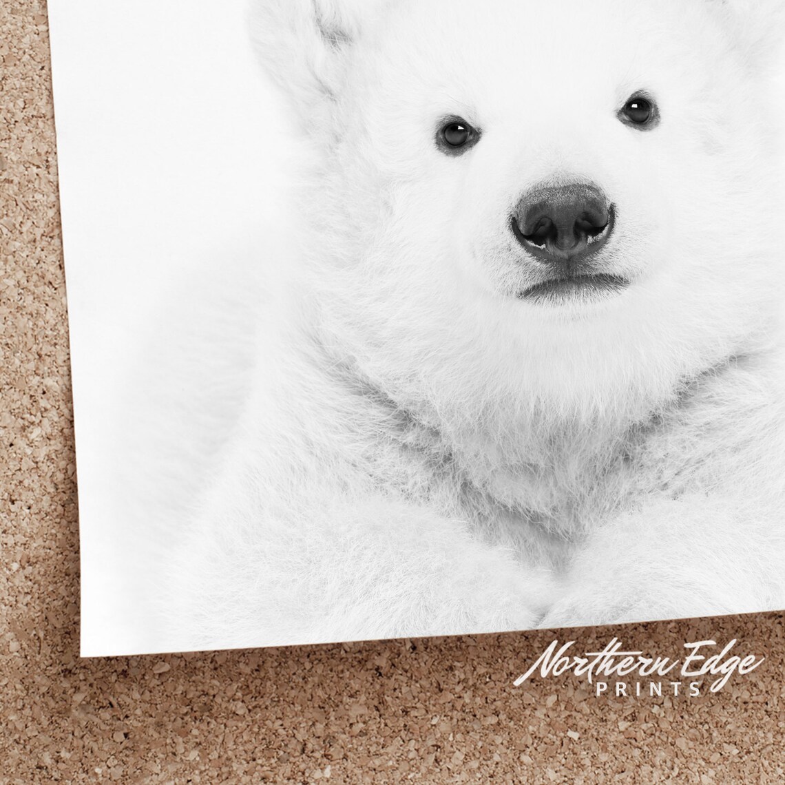 Baby Polar Bear Print Printable Bear Cub Nursery Arctic - Etsy