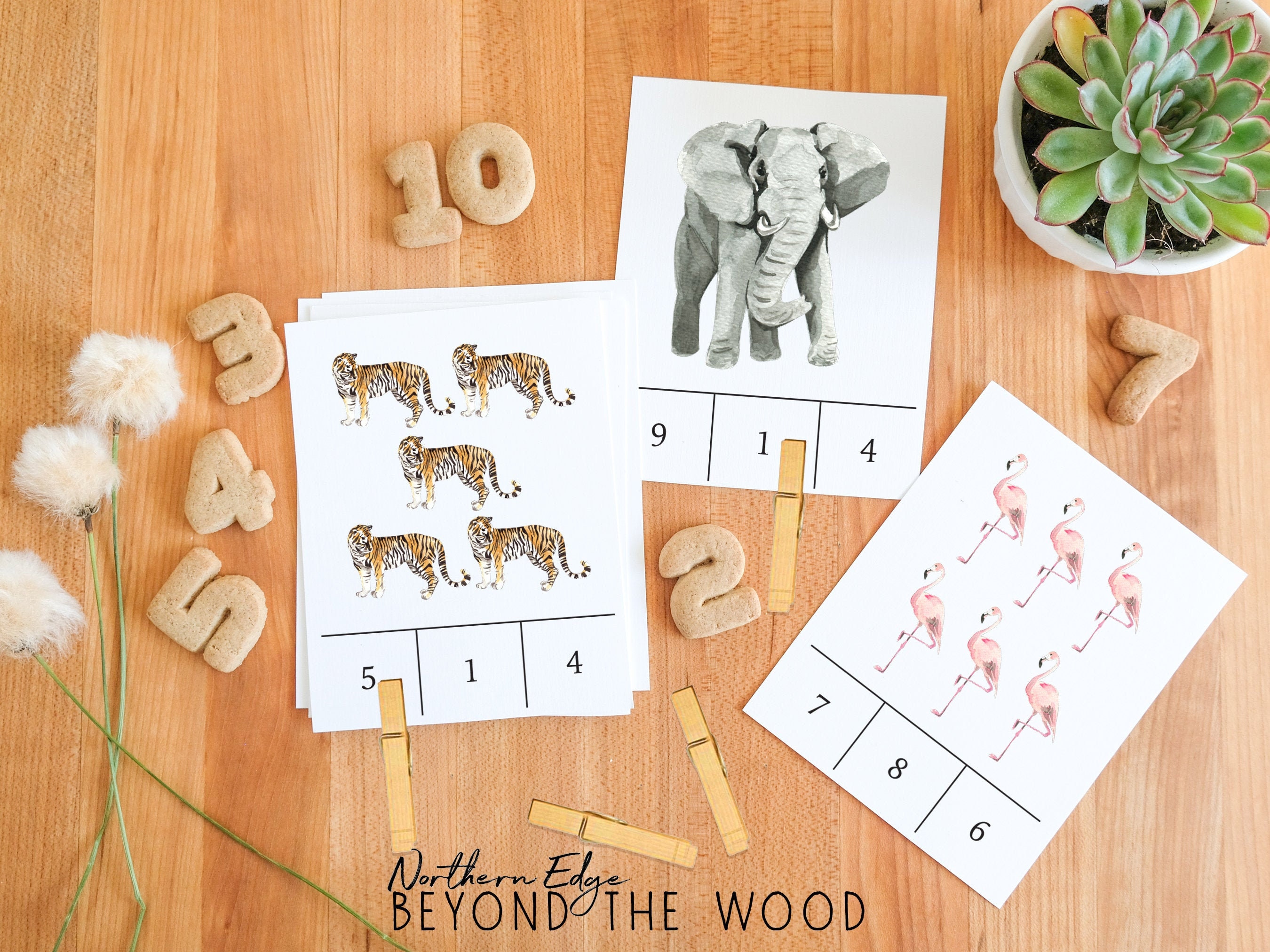 Zoo Animal Clip Flash Card, Montessori Counting Printable, Educational ...