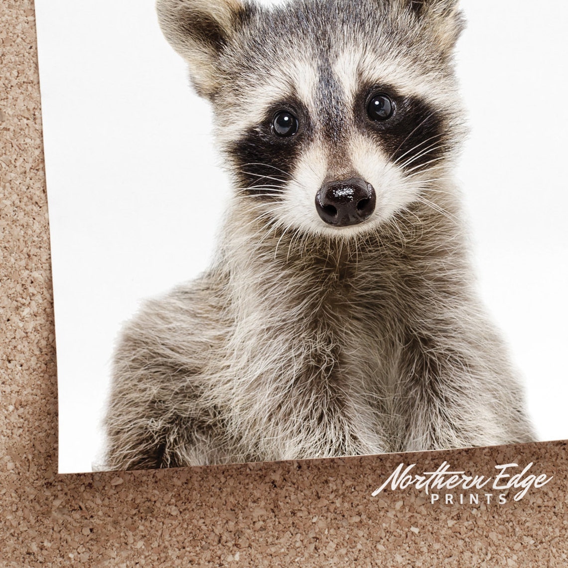 Raccoon Print Raccoon Art Printable Raccoon Forest Print - Etsy