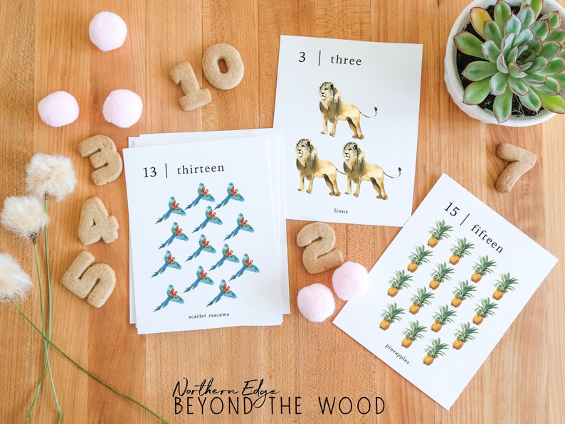 Zoo Animal Numbers 1-20 Flash Cards Montessori Counting - Etsy