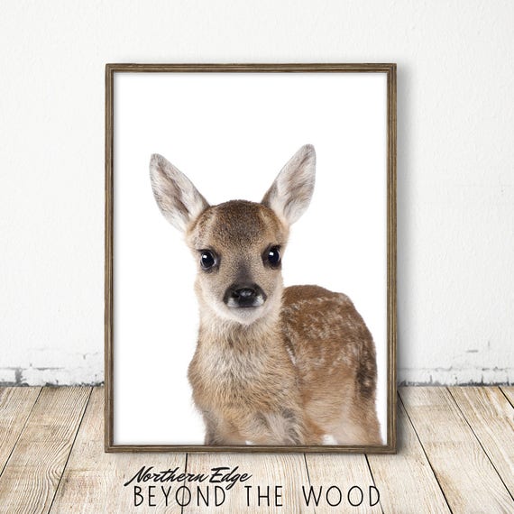 Baby Deer Print Dear Print Dear Art Fawn Wall Art Baby | Etsy