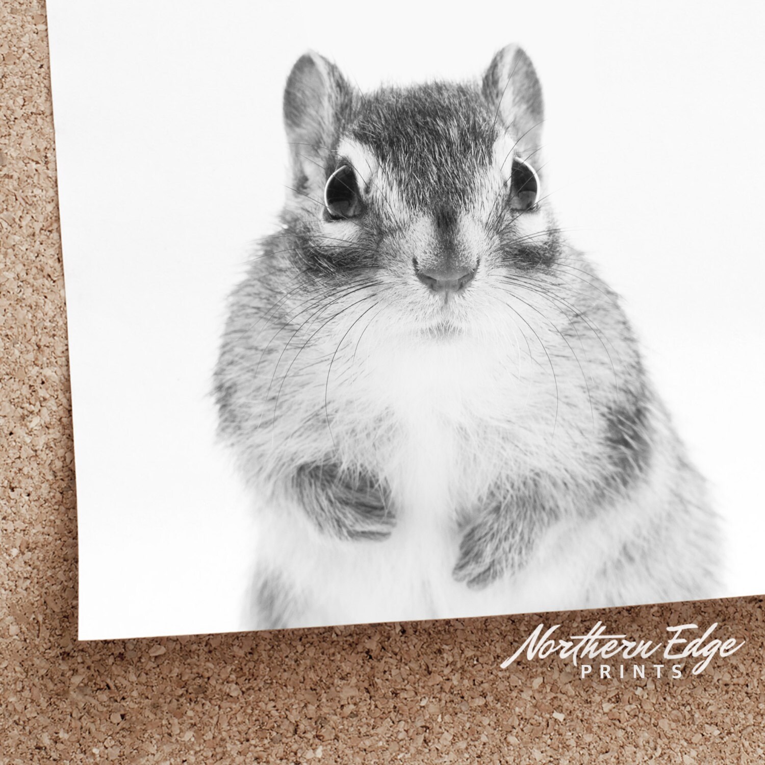 Baby Chipmunk Chipmunk Print Forest Animal Print Woodland - Etsy