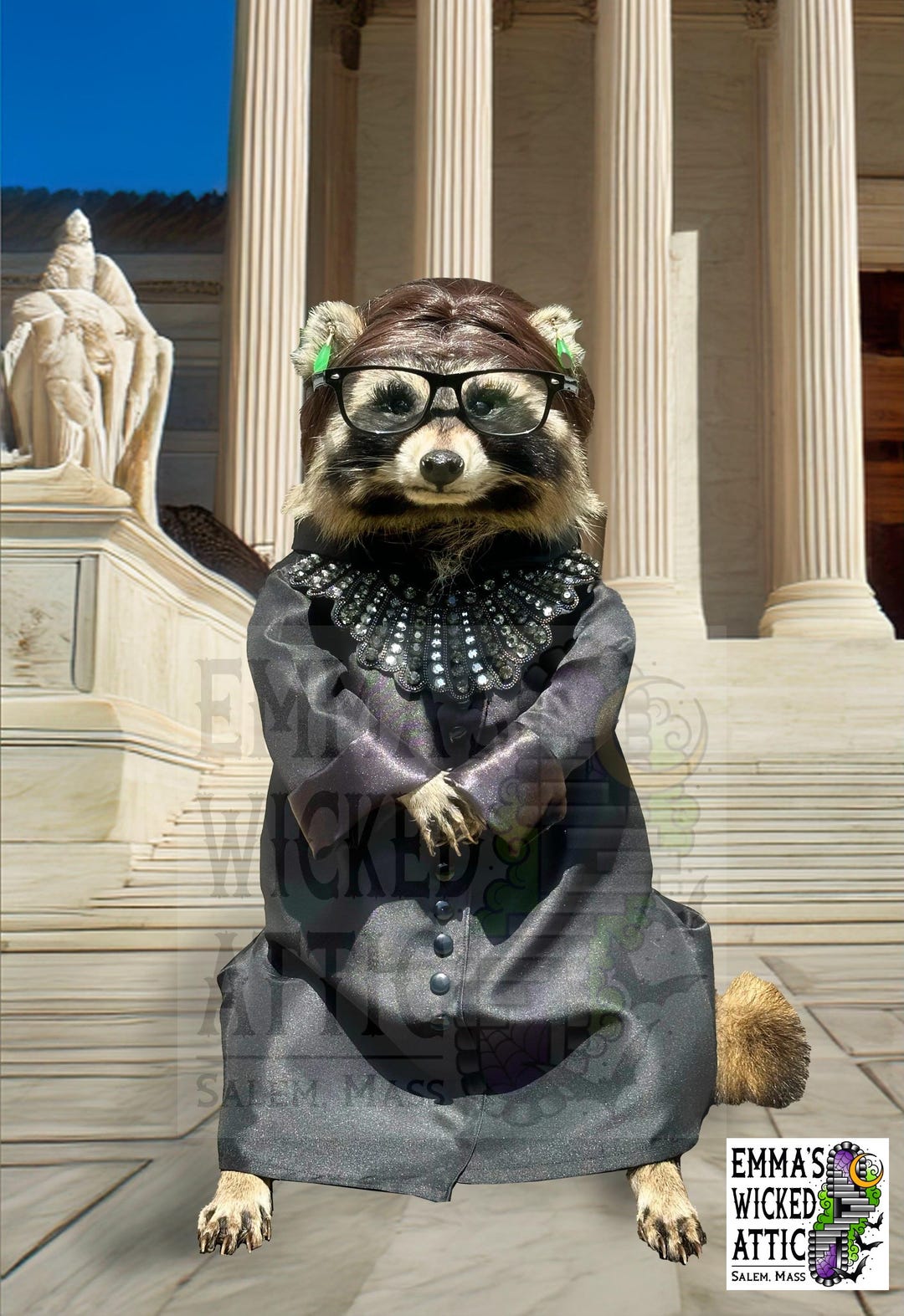 The Notorious RBG Raccoon-lady Justice-ruth Bader Ginsburg-taxidermy ...