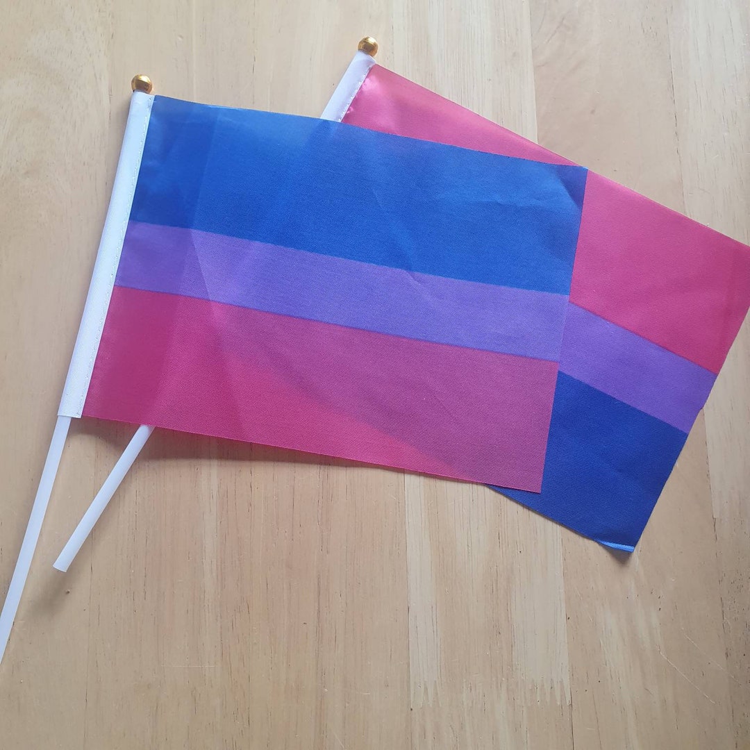 Pair of Bisexual Hand Flags - Etsy