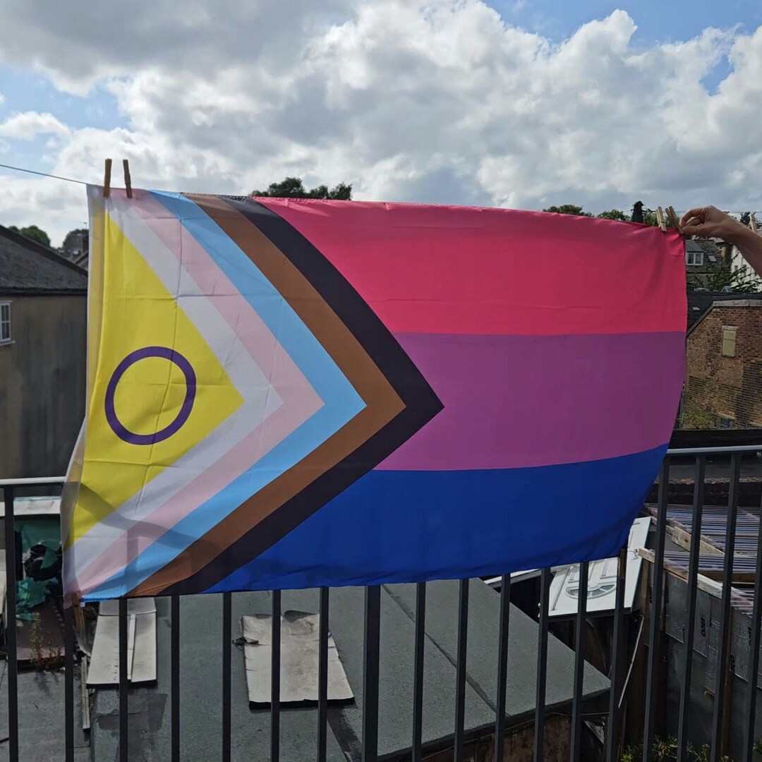 Bi Plus Pride Progress Flag - Etsy