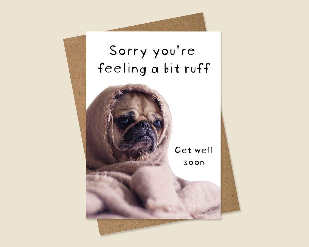 Funny Get Well Card Dog Get Well Card Pug Feel Better Card - Etsy