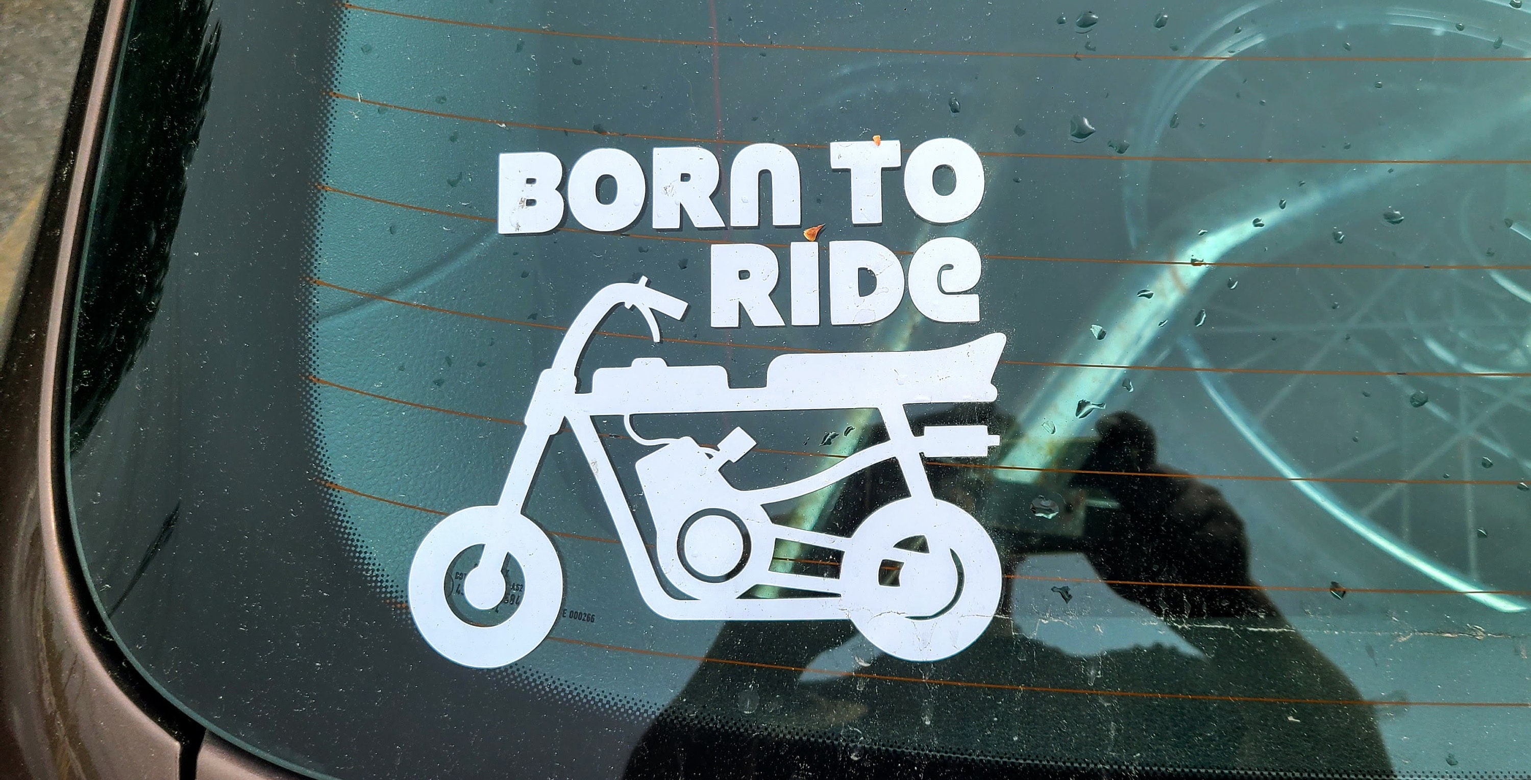 Minibike, Born to Ride - Die-cut Vinyl Decal Sticker - FREE SHIPPING - Etsy