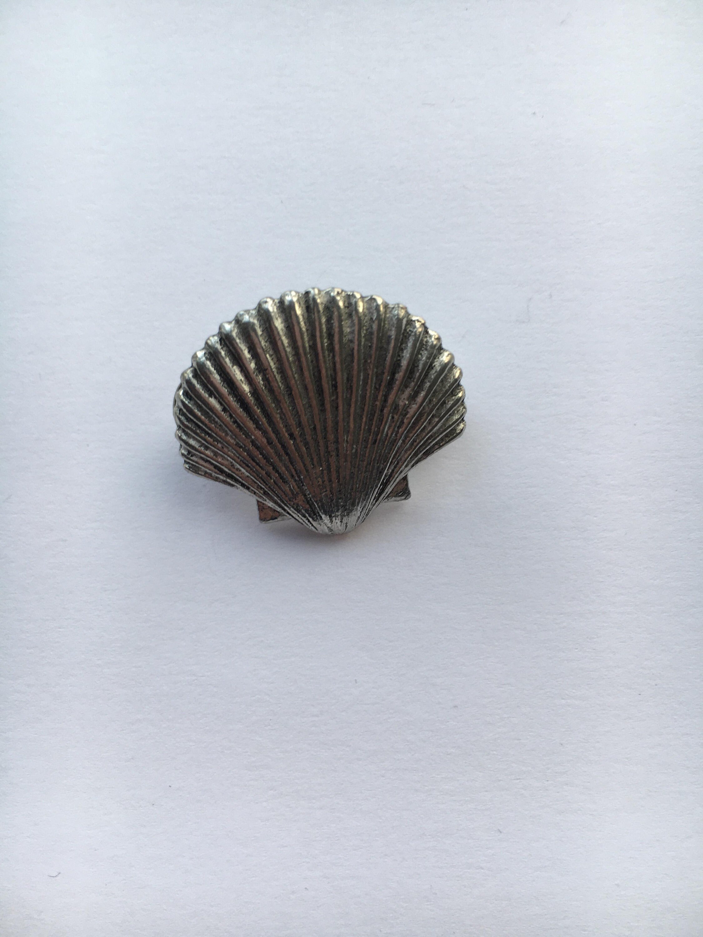 Scallop Shell Pin Badge & Gift Box | Etsy
