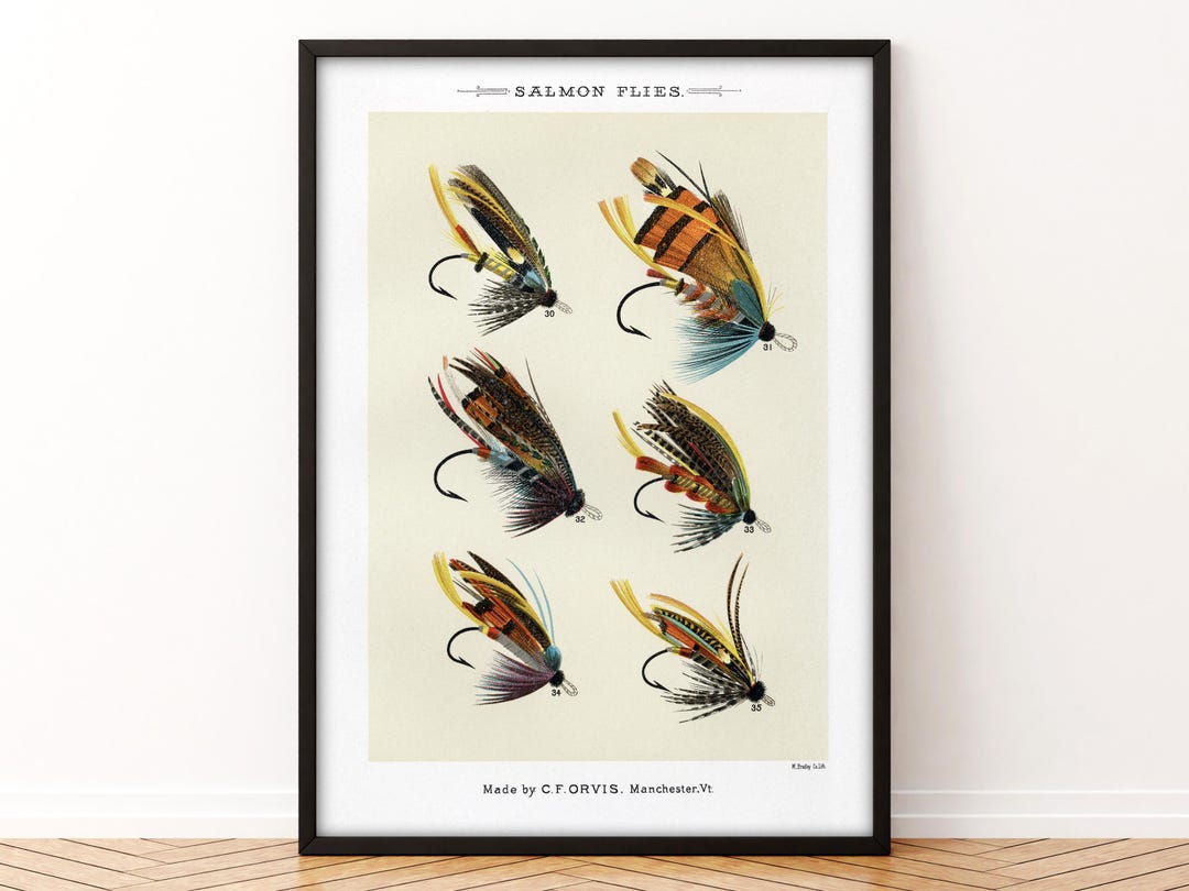 Vintage Fly Fishing Poster Art, Printable Retro Illustrated Salmon ...