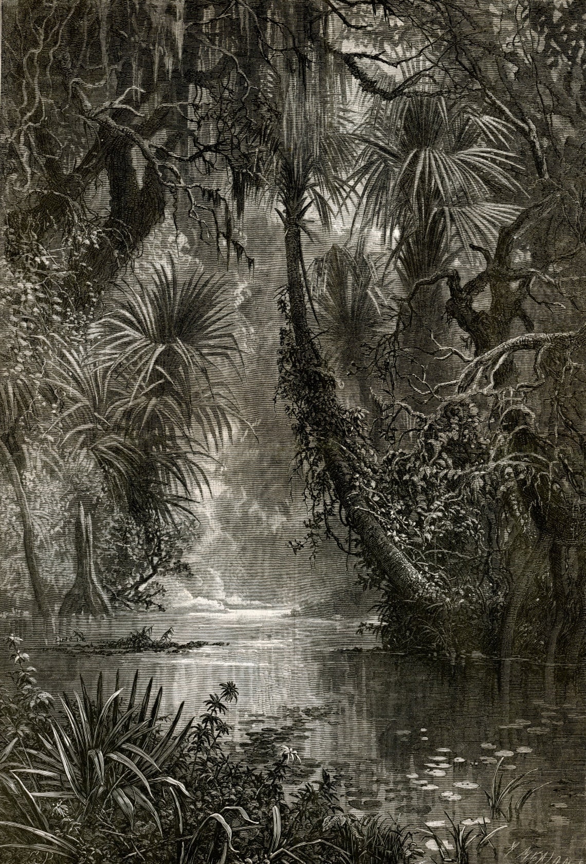 Sepia Southern Swamp Forest Mural: Peel and Stick Floral Wallpaper With ...