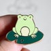 Frog Enamel Pin - Etsy