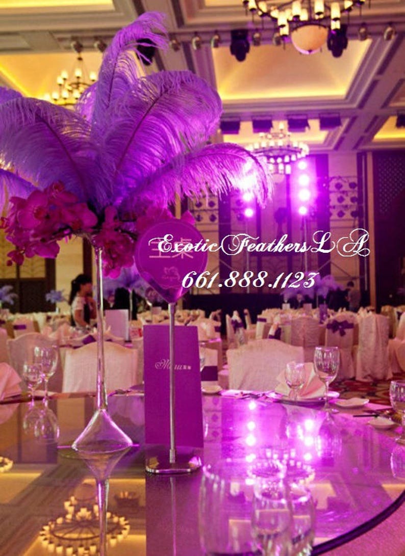 USA Seller Purple Ostrich Feathers 10-14 Inches. Ostrich Tail - Etsy