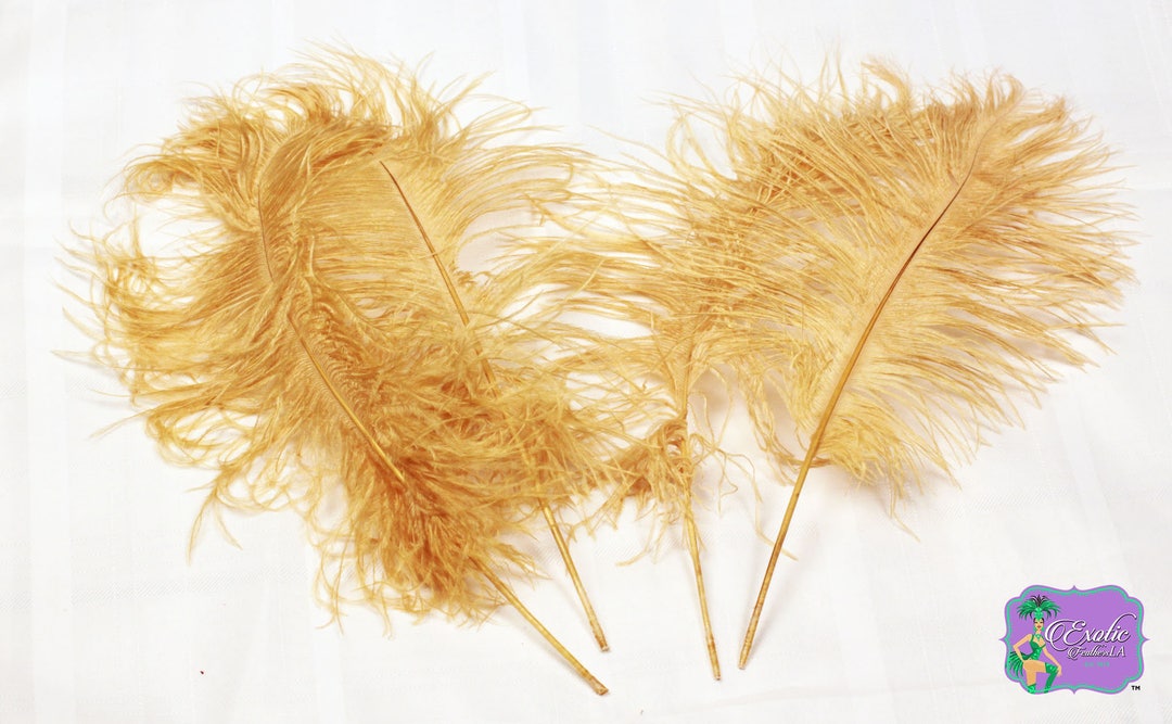 10 Pcs. GOLD Ostrich Tail Feathers U.S.A. Supplier. You Choose Size 13 ...