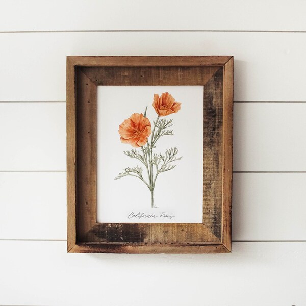 California Poppy Seed Packet Poster Print - Etsy