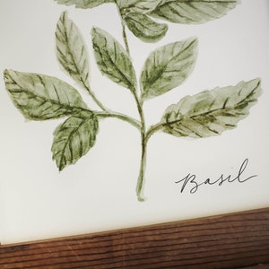 Basil Print - Watercolor Basil Painting, Herb Print, Basil Print ...