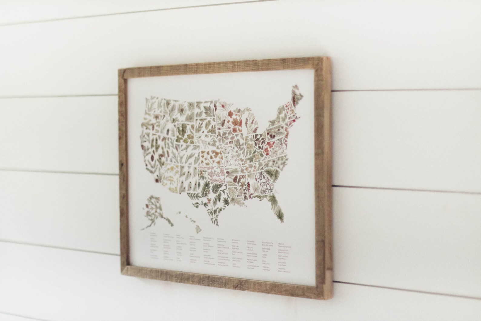 United States Tree Map State Trees Print State Trees | Etsy