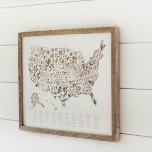 United States Tree Map - State Trees Print, State Trees, Watercolor Map ...