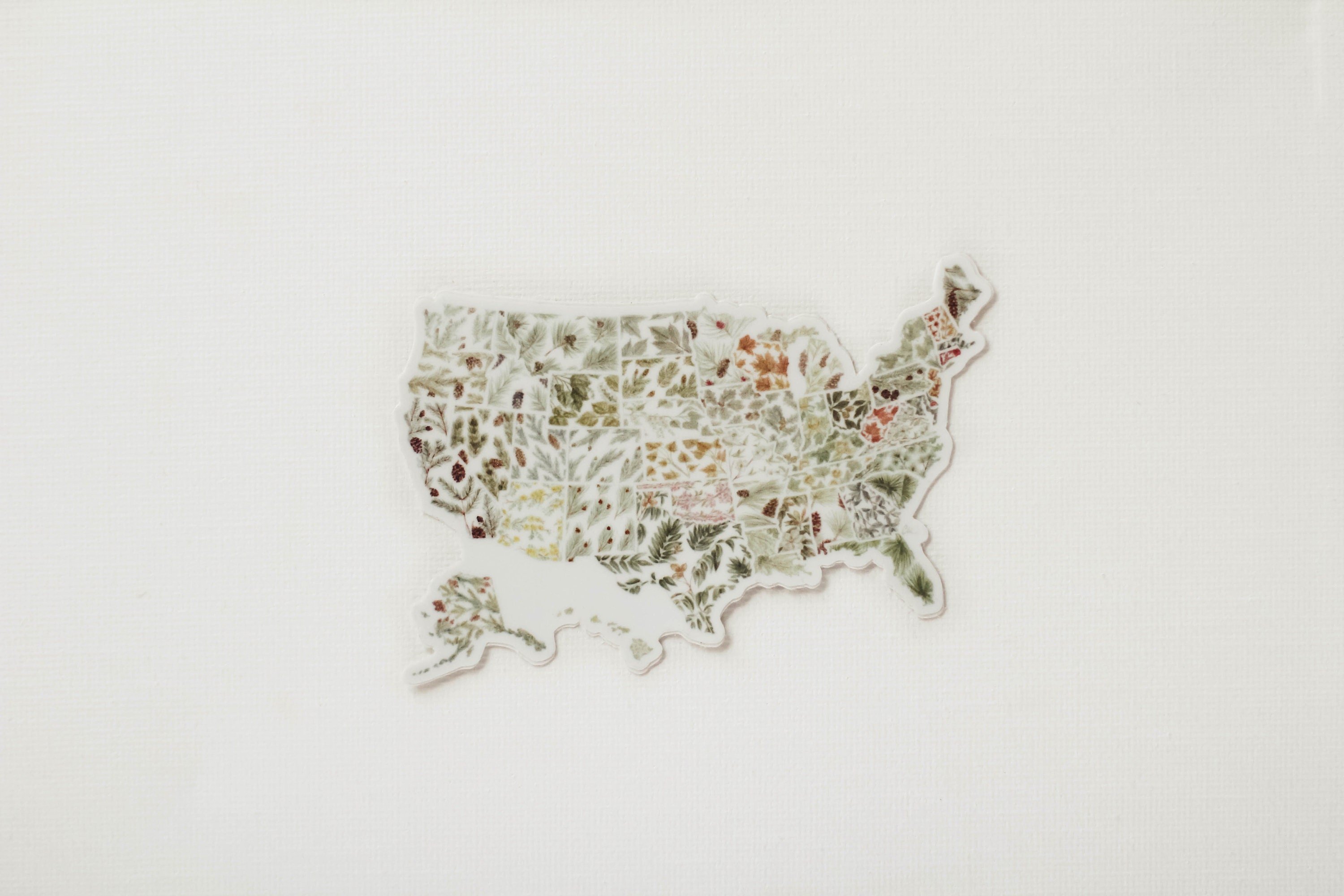 United States Tree Map Sticker US Map Sticker Sticker Art - Etsy