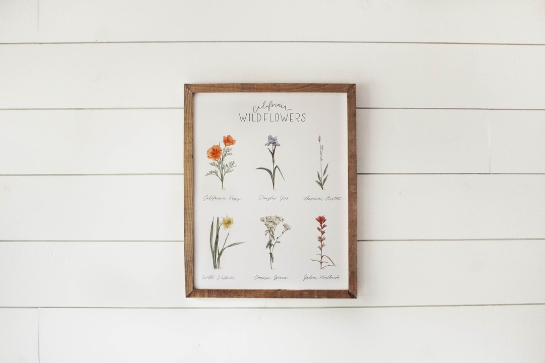 California Wildflower Chart Print - Wildflower Art, Flower Print, Wall ...