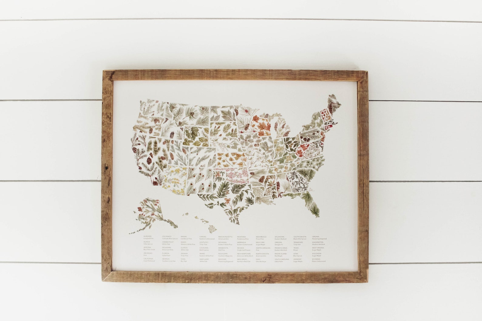 United States Tree Map State Trees Print State Trees | Etsy