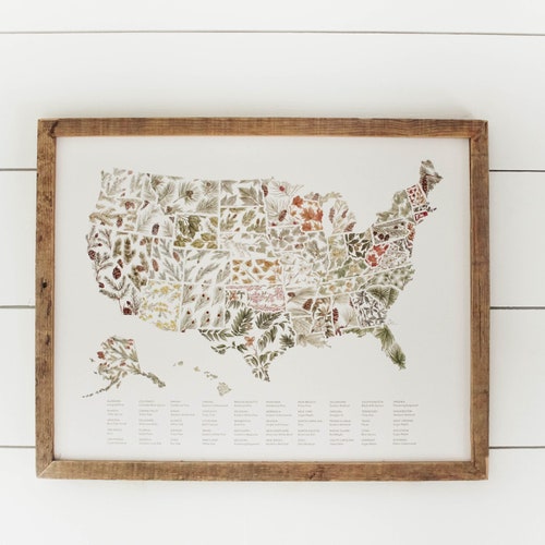 United States Tree Map State Trees Print State Trees | Etsy