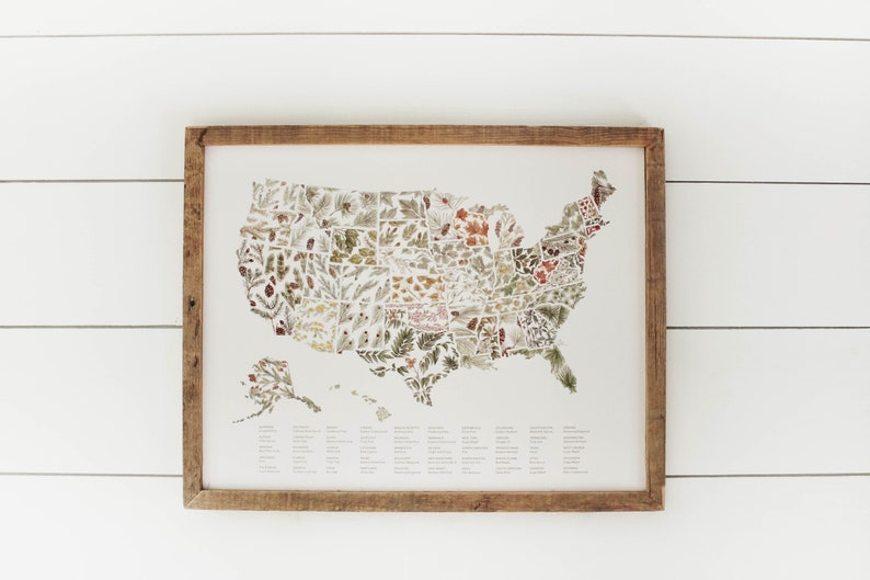 United States Tree Map State Trees Print State Trees | Etsy