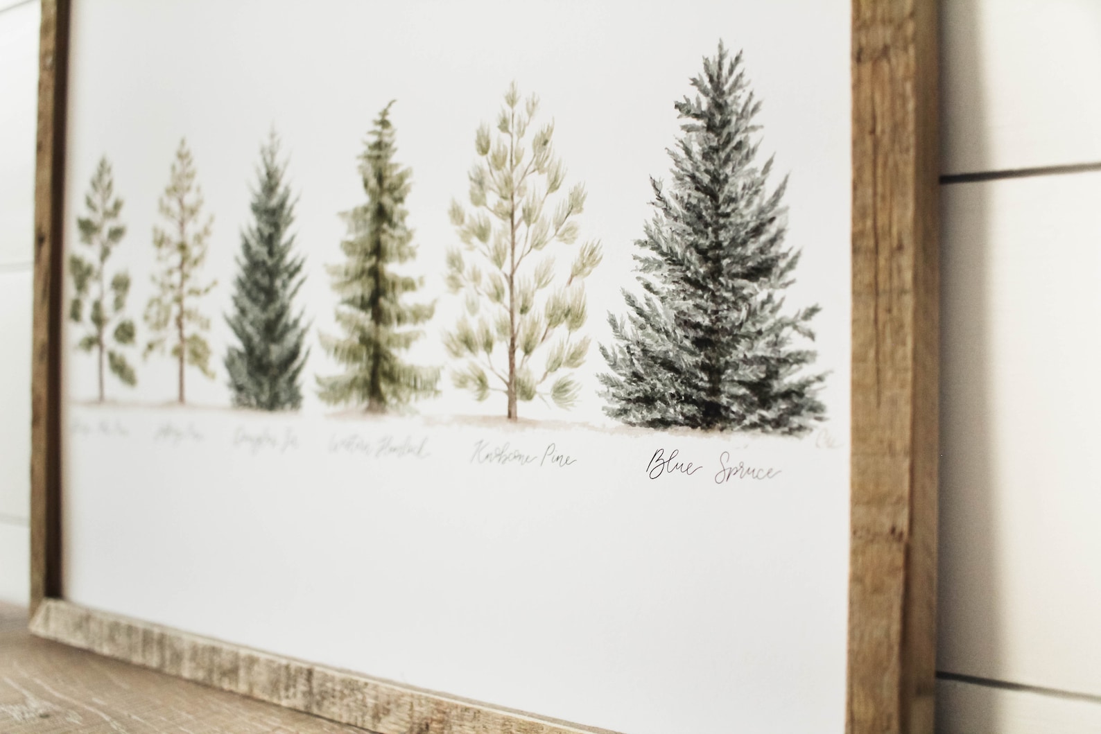 Collection of Evergreens Print Line of Pine Trees Print - Etsy