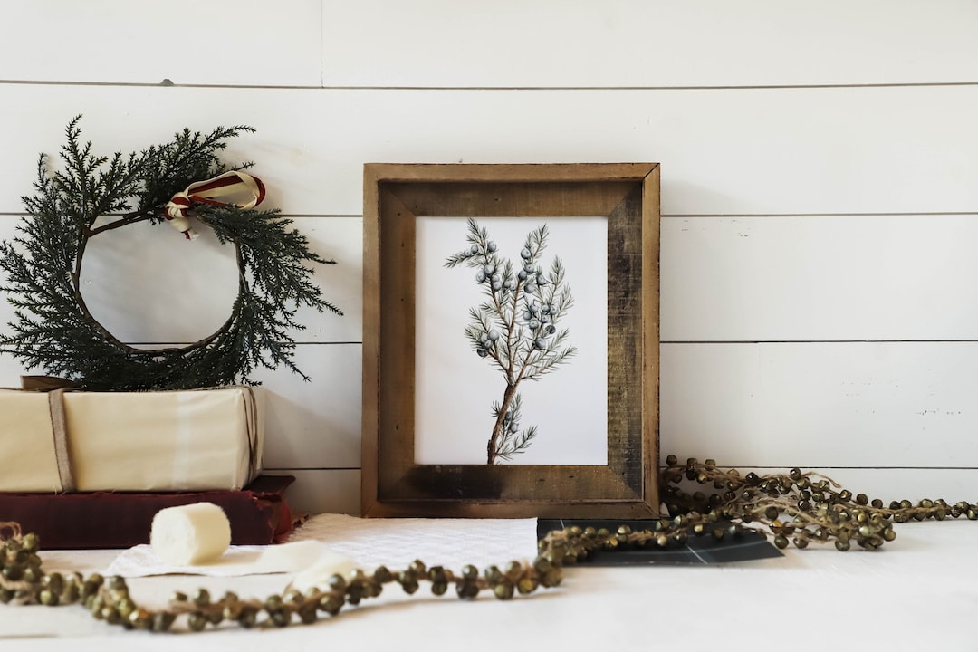 Juniper Sprig Print - Pine Tree Print, Sprig, Wall Art, Holiday Art ...