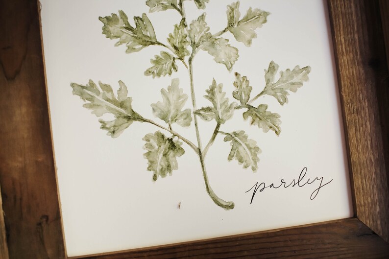 Parsley Print Watercolor Parsley Print Home Decor Print | Etsy
