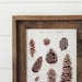 Pine Cone Chart Print - Watercolor Pine Cones, Pine Cones, Nature Print ...