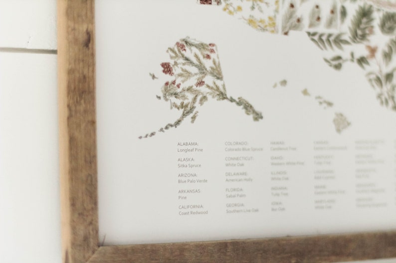 United States Tree Map State Trees Print State Trees | Etsy