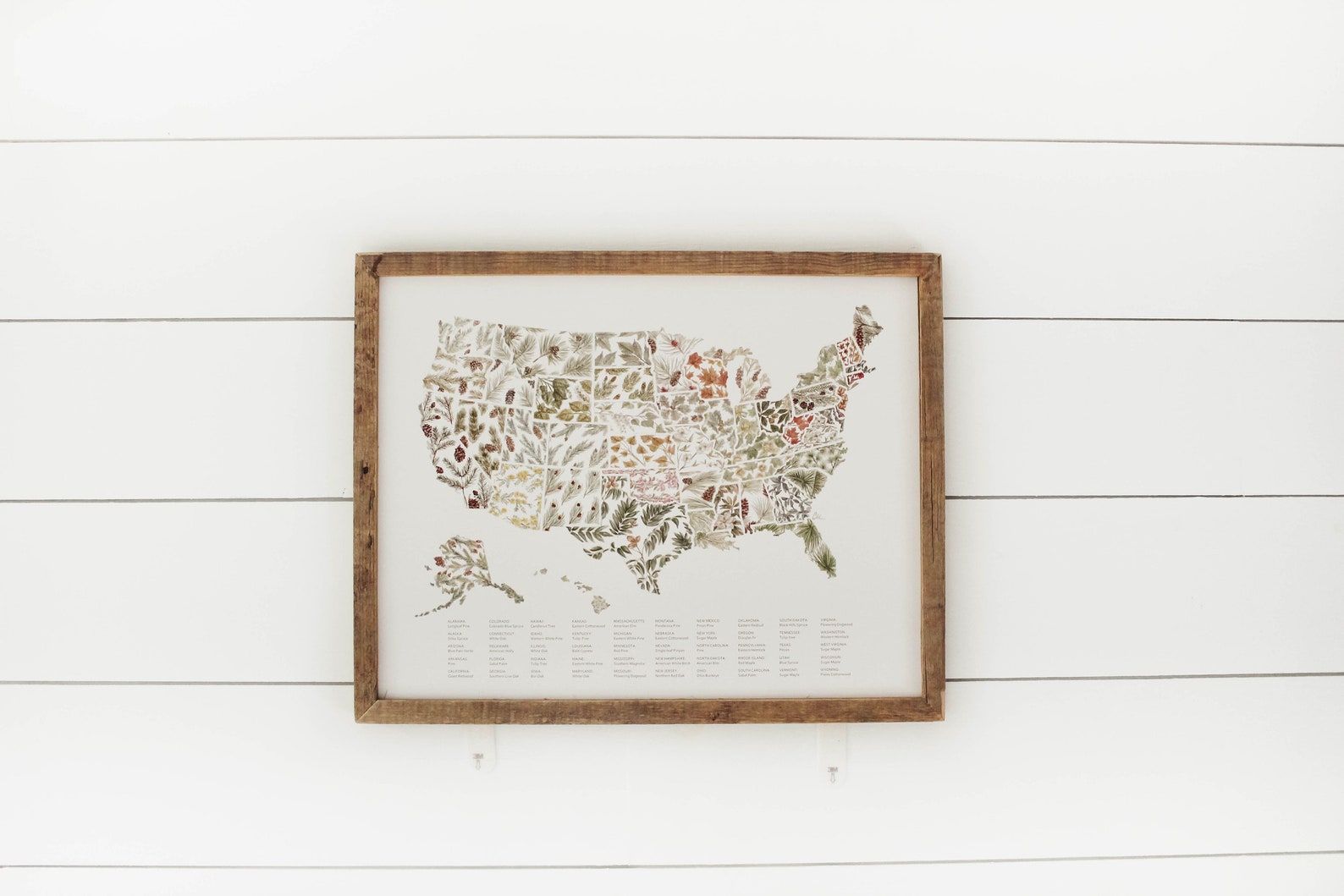 United States Tree Map State Trees Print State Trees | Etsy