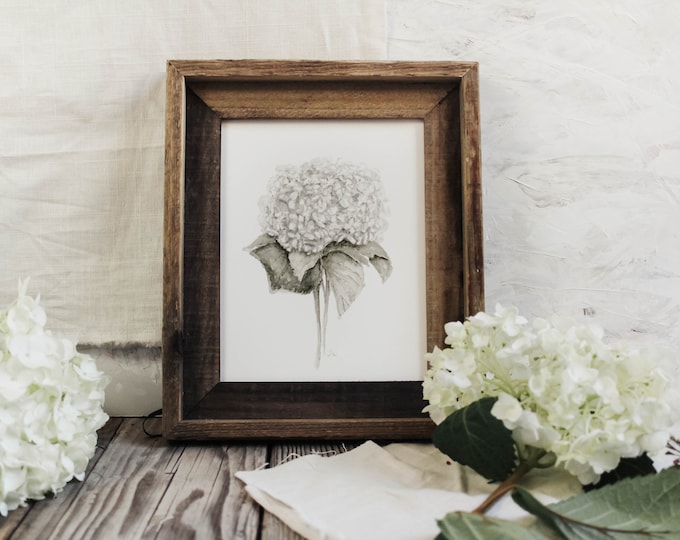 White Hydrangea Print Watercolor Flower Watercolor - Etsy