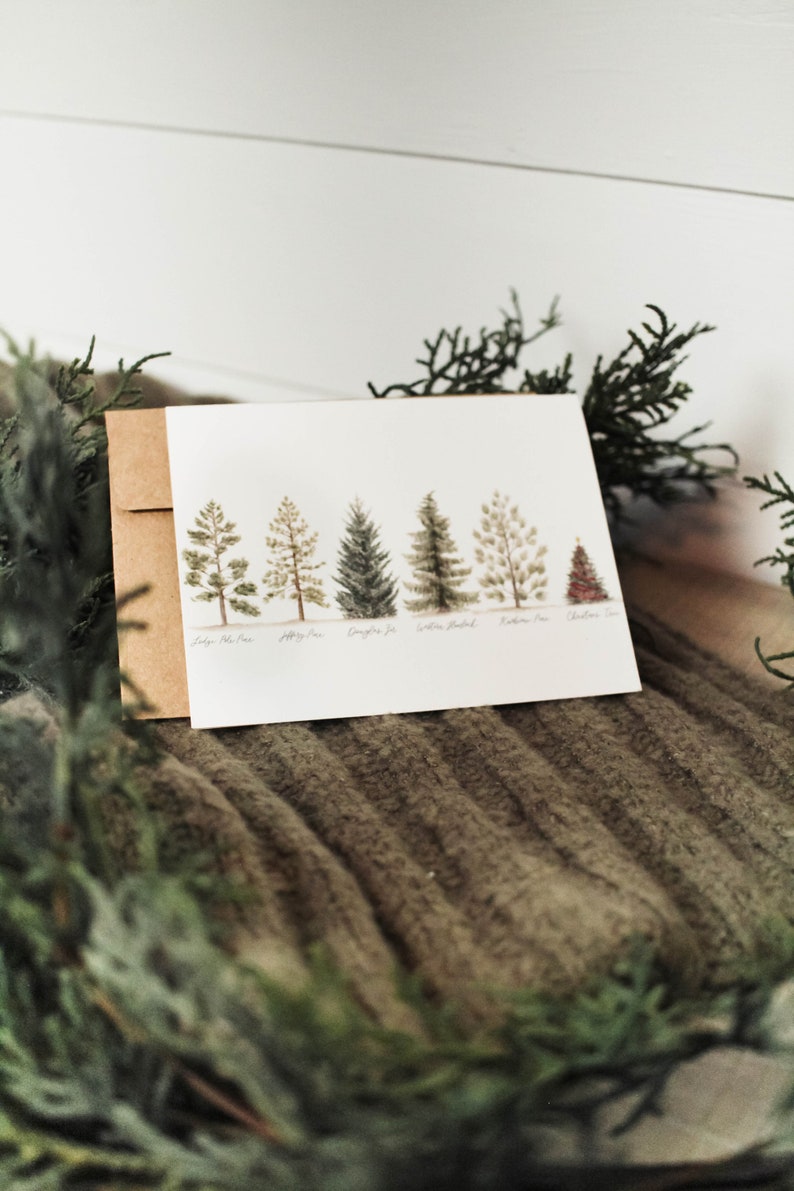 Christmas Collection of Evergreens Card Evergreen Trees - Etsy