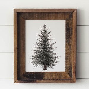 Evergreen Pine Print - Pine Tree Print, Watercolor Tree, Minimalist ...