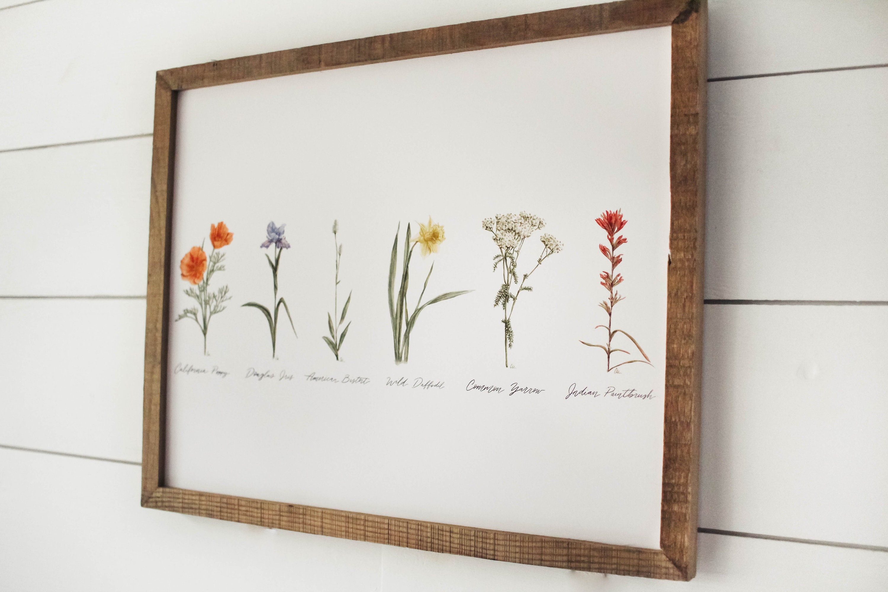 Collection of Wildflowers Print Wildflower Print - Etsy