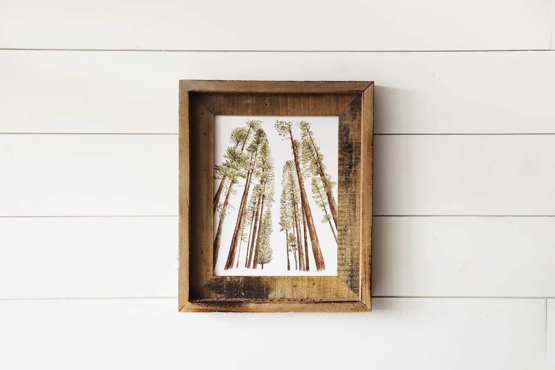 Redwoods Print - Pine Trees Print, Pine, Mountain Wall Art, Tree Art ...