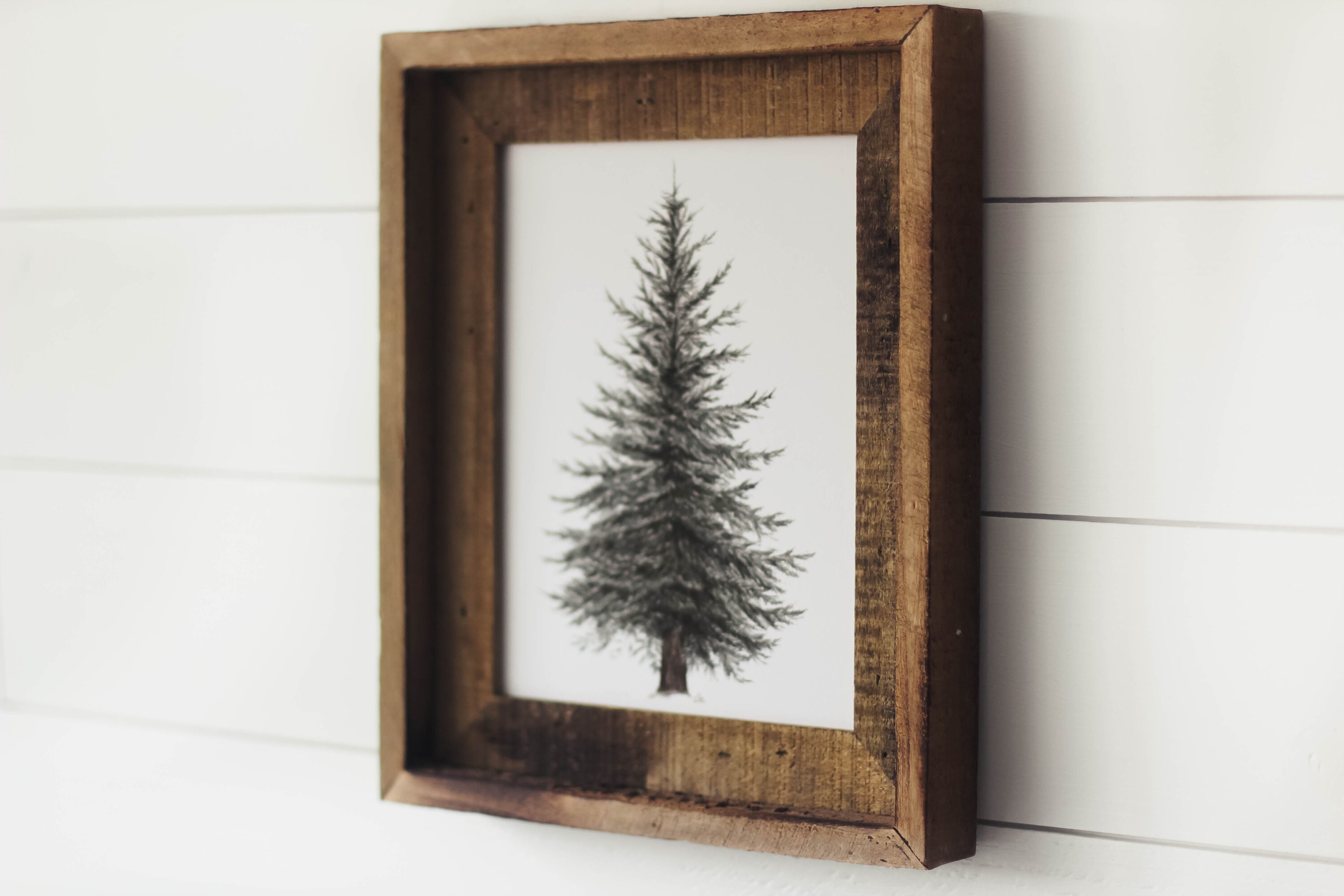 Evergreen Pine Print Pine Tree Print Watercolor Tree - Etsy