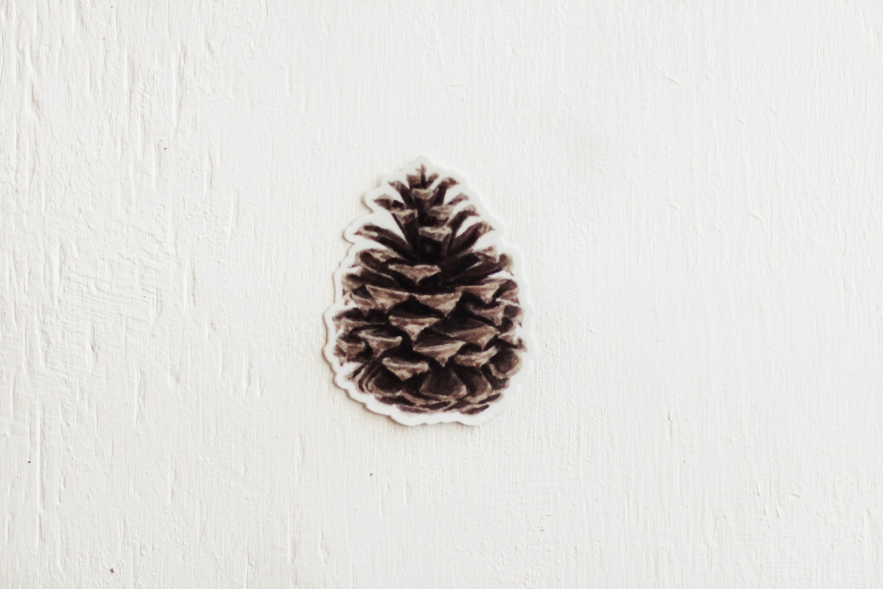 Pine Cone Sticker - Sticker, Watercolor Sticker, Pine Cone, Tree ...