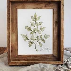 Parsley Print - Watercolor Parsley Print, Home Decor Print, Herb Print ...
