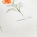 California Poppy Print - Flower Print, Botanical Print, California ...