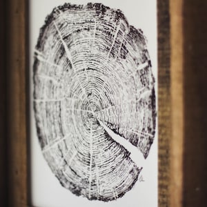 Tree Ring Art Print - Watercolor Tree Ring, Tree Art, Watercolor ...
