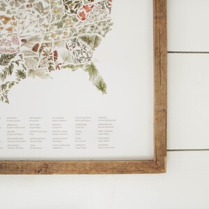 United States Tree Map - State Trees Print, State Trees, Watercolor Map ...