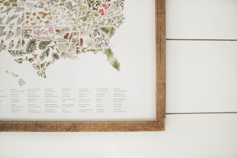 United States Tree Map State Trees Print State Trees | Etsy