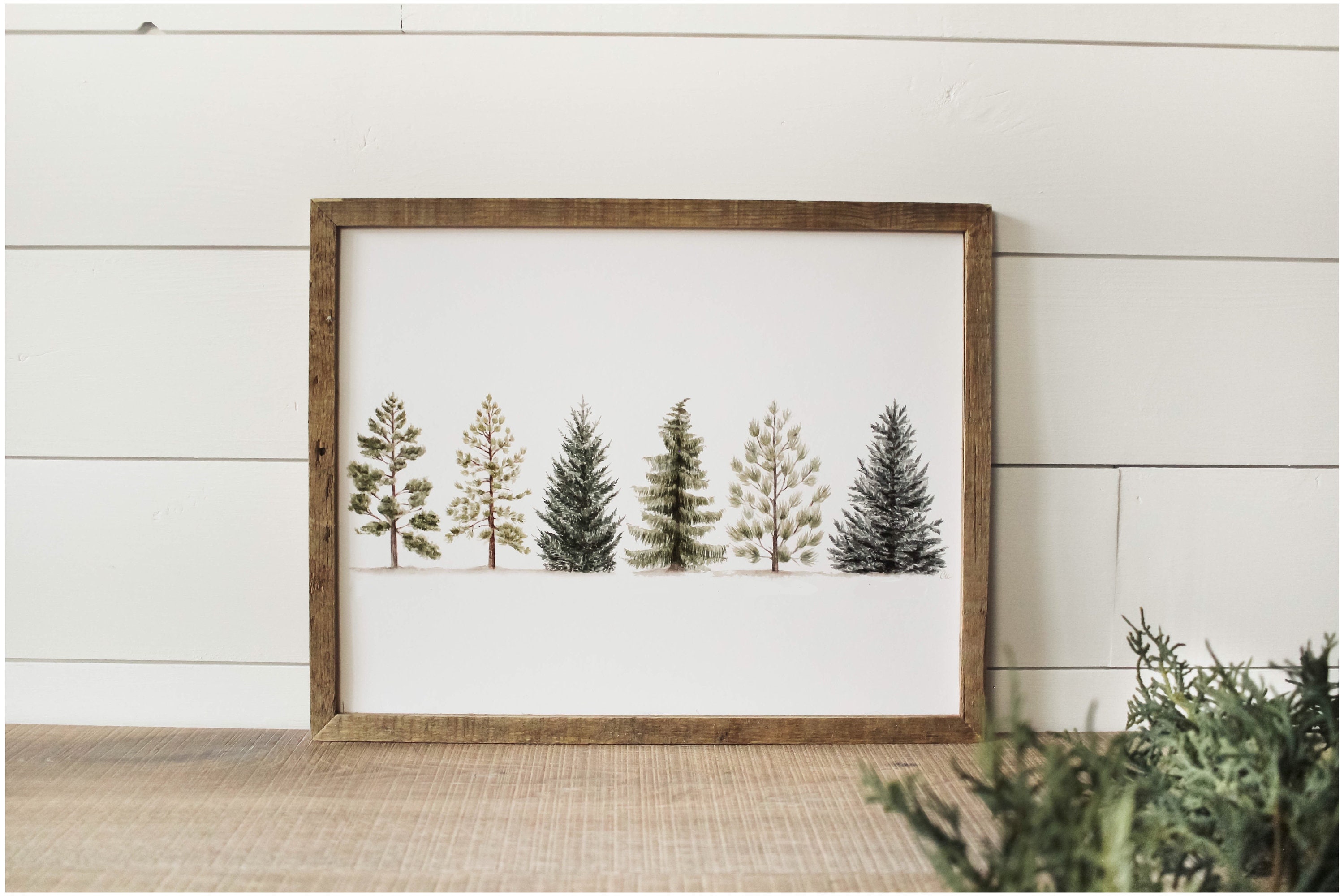Collection of Evergreens Print Line of Pine Trees Print - Etsy