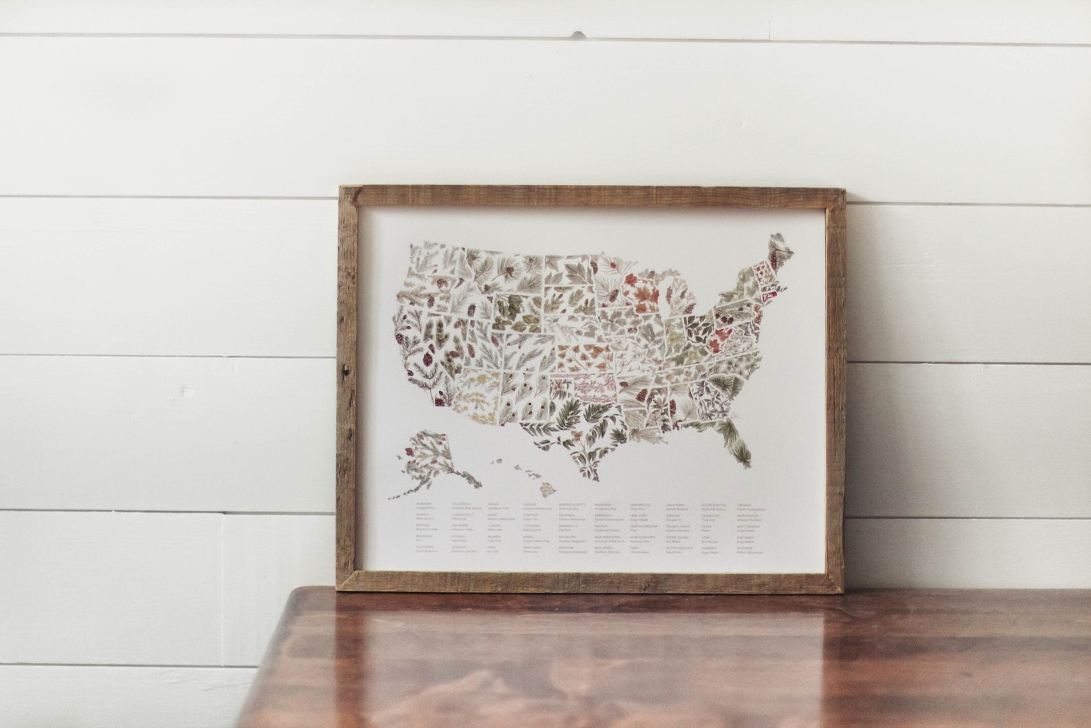 United States Tree Map State Trees Print State Trees - Etsy