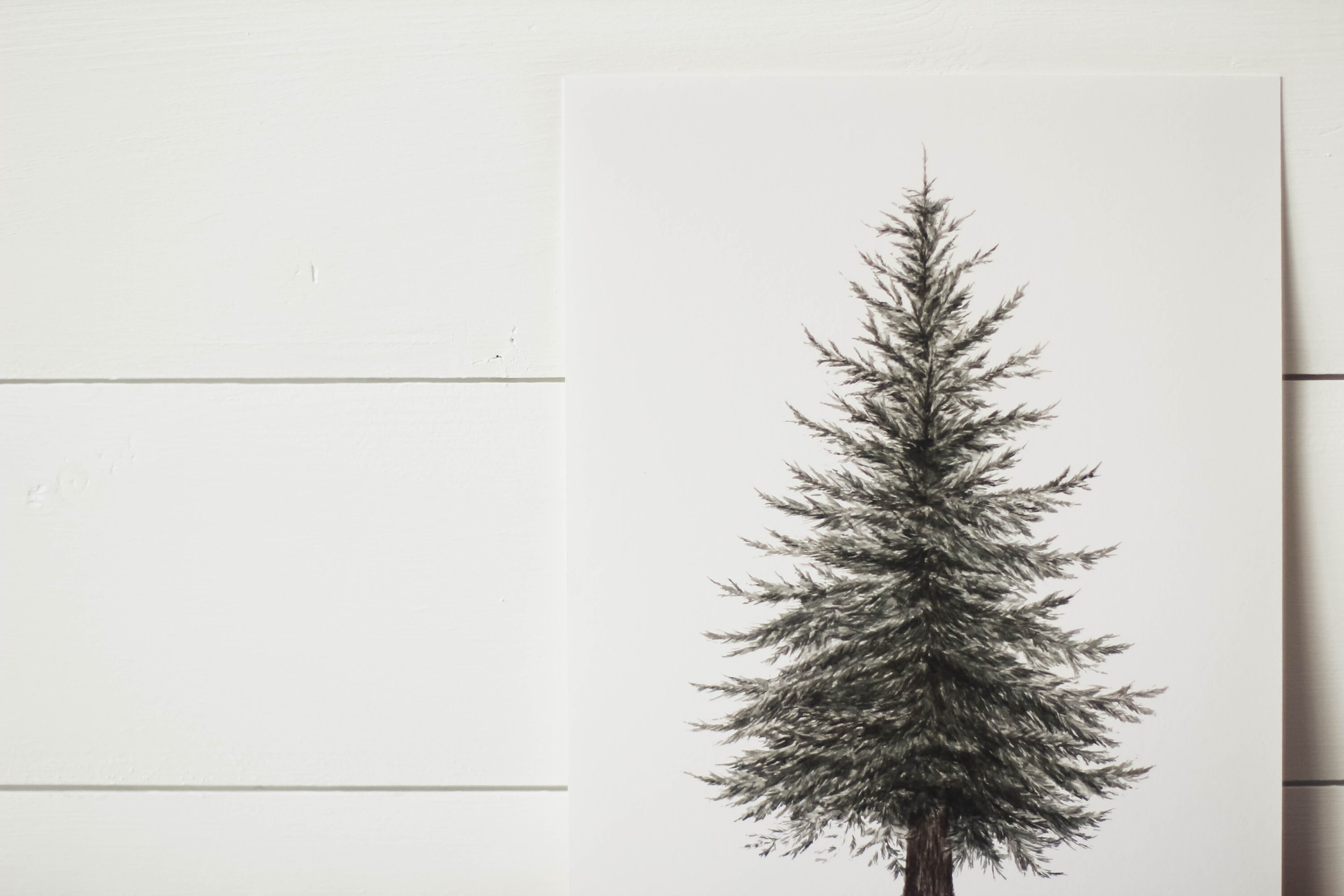 Evergreen Pine Print Pine Tree Print Watercolor Tree - Etsy