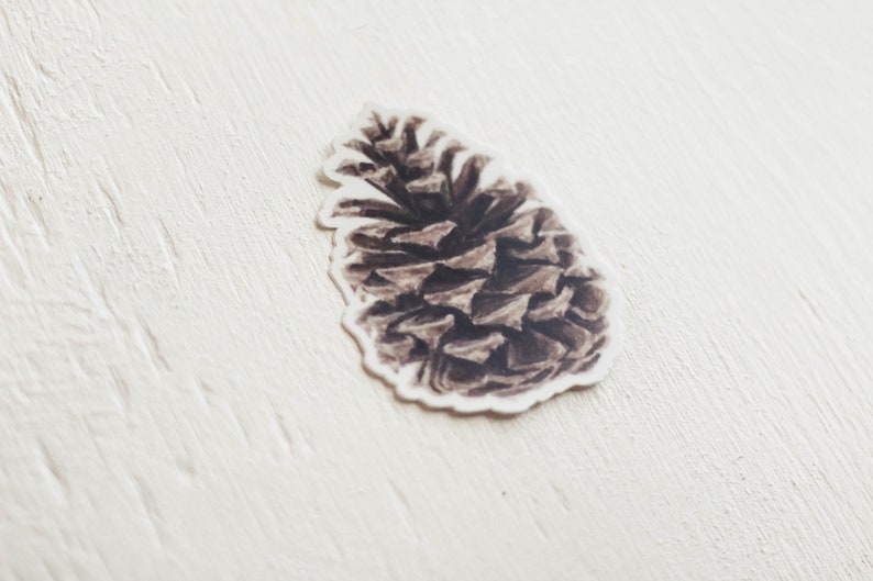 Pine Cone Sticker - Sticker, Watercolor Sticker, Pine Cone, Tree ...