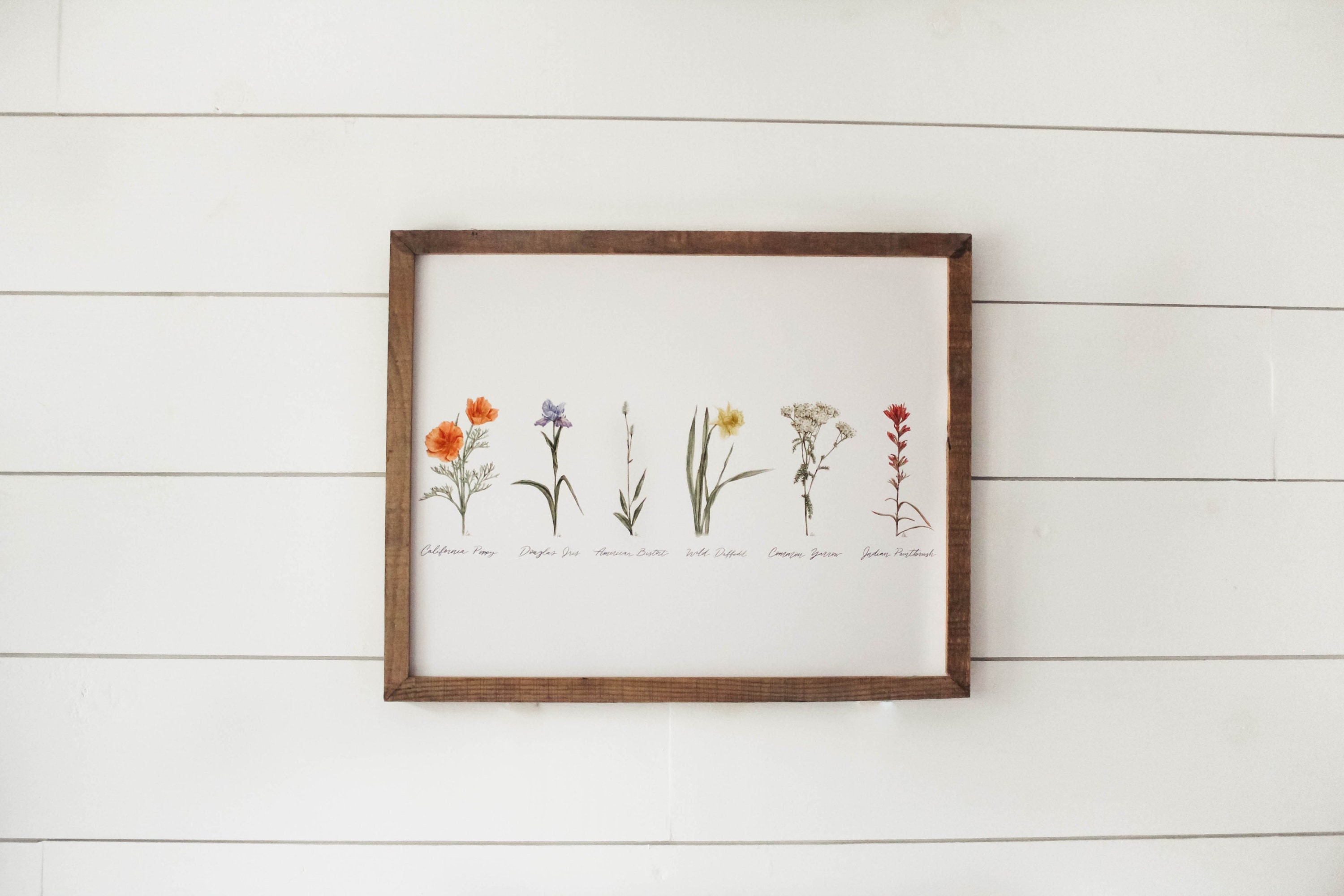 Collection of Wildflowers Print Wildflower Print - Etsy