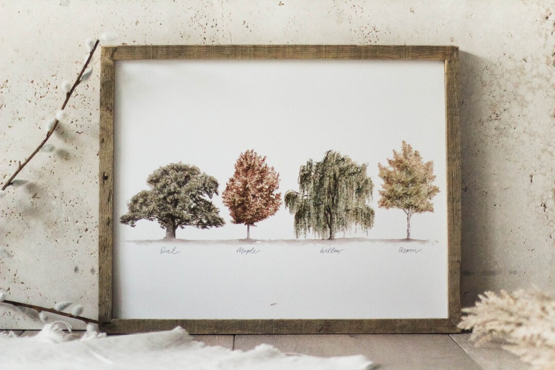 Collection of Deciduous Trees - Line of Deciduous Trees, Home Decor ...